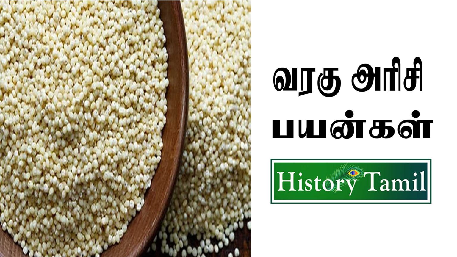 வரகு அரிசி பயன்கள் || Varagu Rice Benifits in Tamil